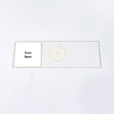Soot Apex Microscope Slide High-Quality Lab-Grade India